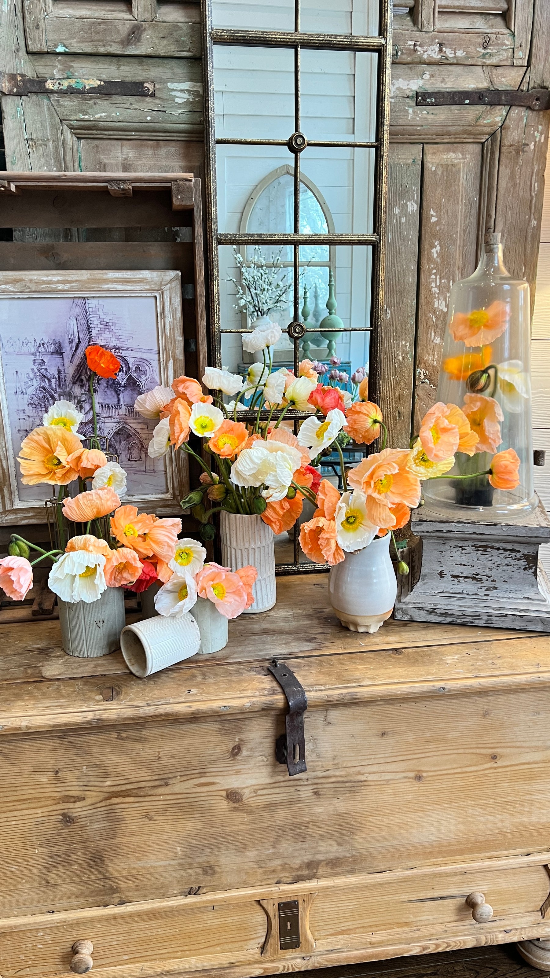 The Nested Fig – Thenestedfig