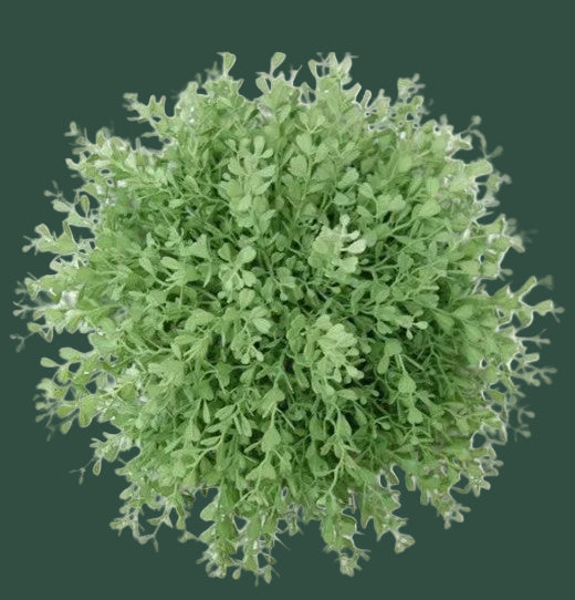 Pre Order Half Round Boxwood Ball – Thenestedfig